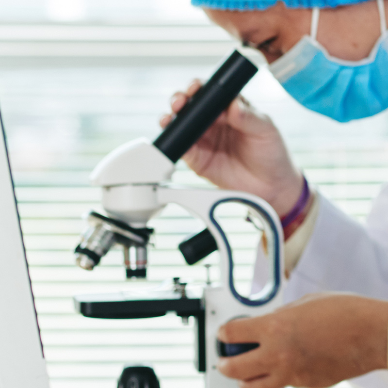 Polyglykol系列 : 各式不同的分子量的PEG